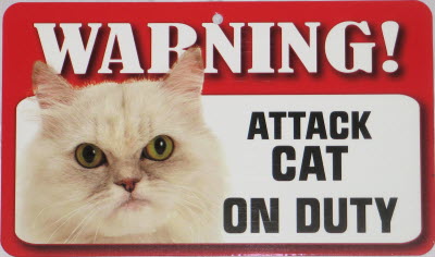 Warning! Attack Cat On Duty Sign- Persian | 10-1743.56